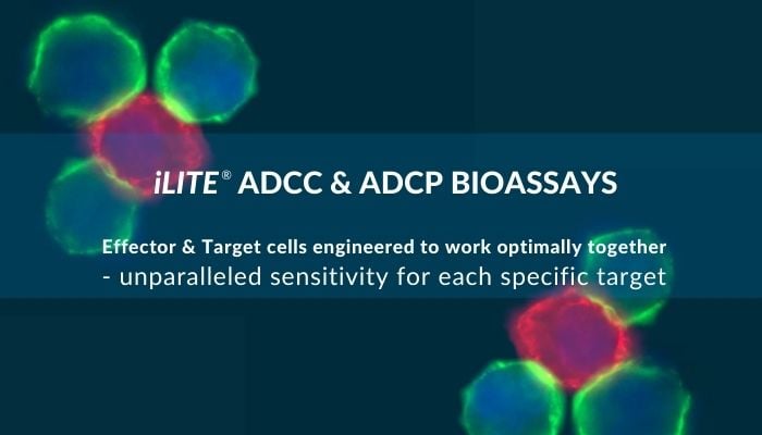 Assess Your Antibodies from Every Angle: The Importance of Orthogonal ...
