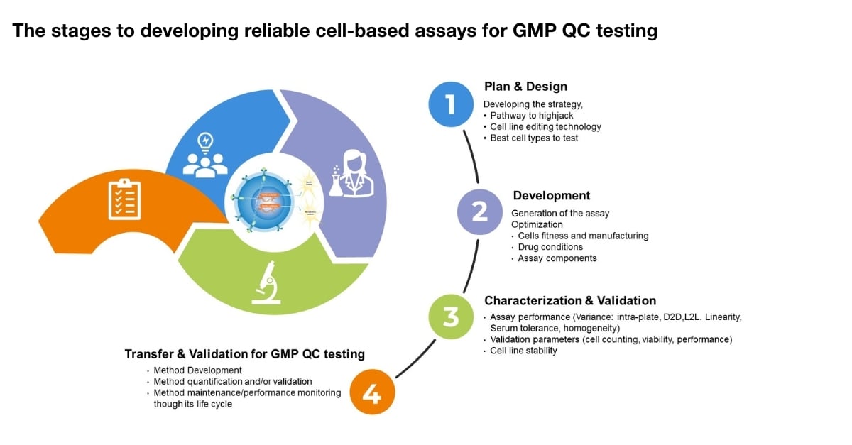 Navigating the Complexities of Cell-based Assays in GMP QC Testing: The ...