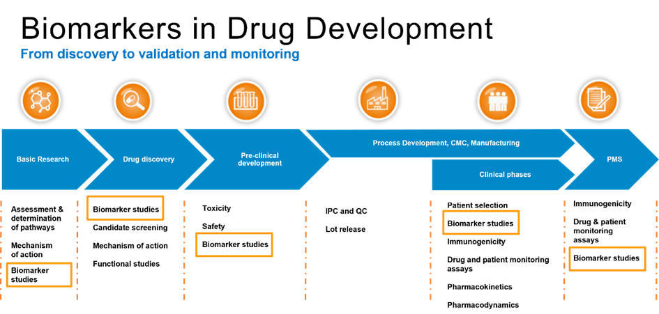 The Importance of Complement Biomarkers in Advancing Therapeutic ...
