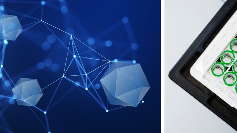 AAV Total Antibody (TAb) Assessment