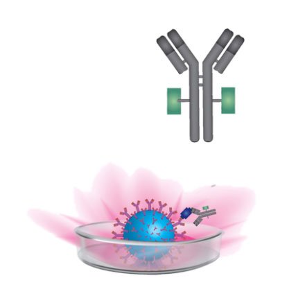 Simoa Bead Technology