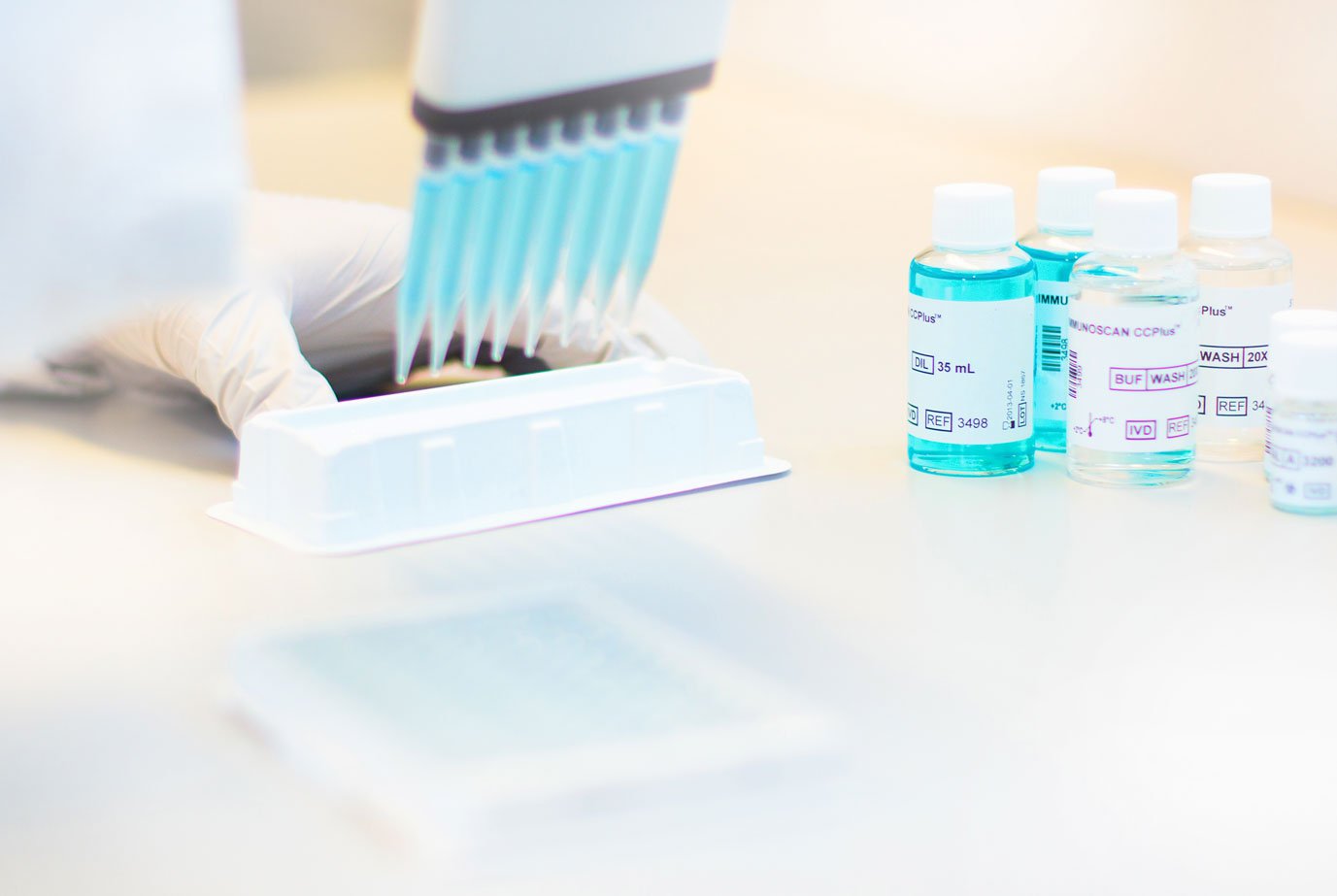 WIESLAB® Complement System Screen